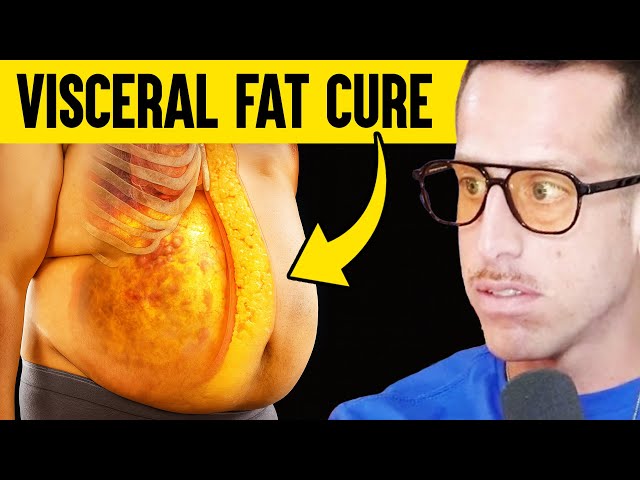 A Comprehensive Seven-Step Plan to Erase Visceral Fat in 20 Days | Galaxy