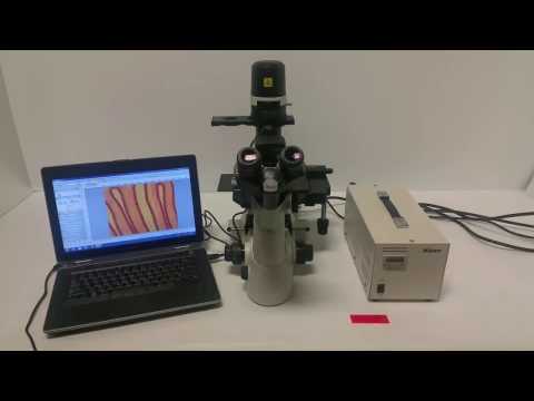 Nikon Eclipse TS100 LED Inverted Microscope at best price.
