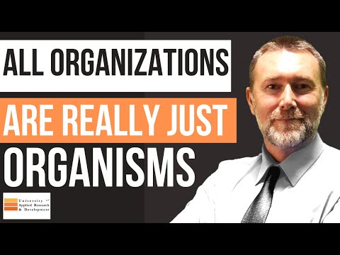 Masters in Education – UARD Podcast #6 Dr. David Samore – Masters in ...