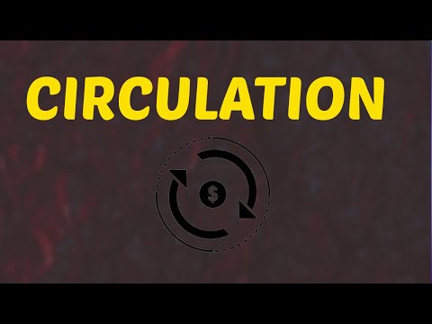 What Does CIRCULATION Means || Meanings And Definitions With Example in ENGLISH