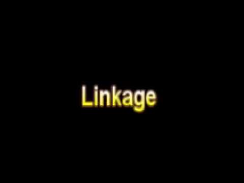 What Is The Definition Of Linkage