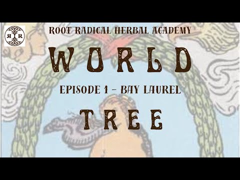 World Tree - Bay Laurel - Episode 1