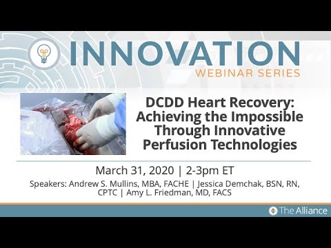 DCDD Heart Recovery: Achieving the Impossible Through Innovative Perfusion Technologies