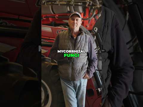 Mycorrhizal Fungi in No-Till Farming? #regenerativefarming #soilhealth #mycorrhiza