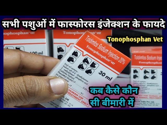 Veterinary Medicine - Fenbendazole Tablet Veterinary 100% Export ...