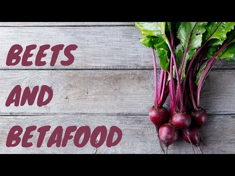 Think Beets and Betafood for Liver / Gallbladder Congestion (Standard Process Supplements)