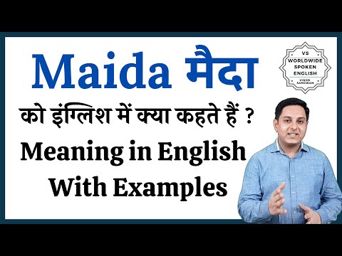 Maida ko english mein kya kahate hain | maida english name | maida english meaning