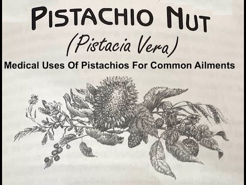 Medical Uses Of Pistachios For Common Ailments
