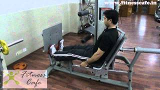 Panturrilha leg press sentado | Catálogo de Exercícios | Movimente.me