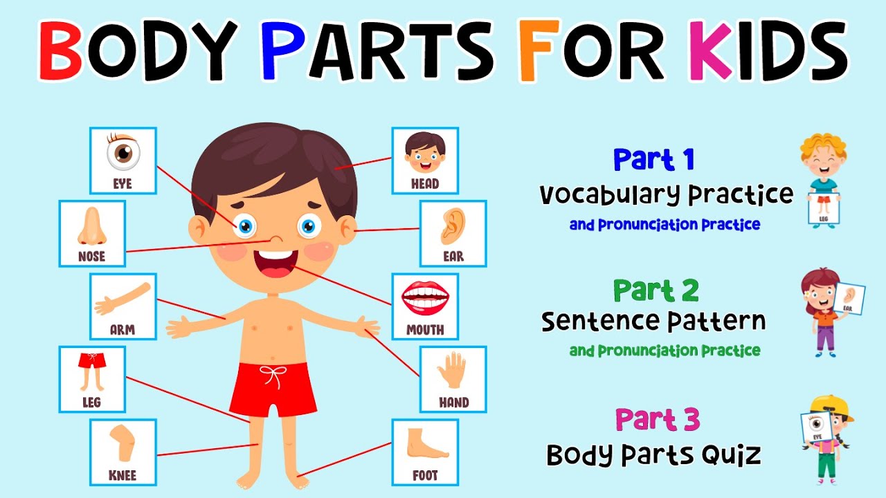 Body Parts For Kids | Learn Parts Of The Body | Body Part Quiz | ESL Kids | 4K