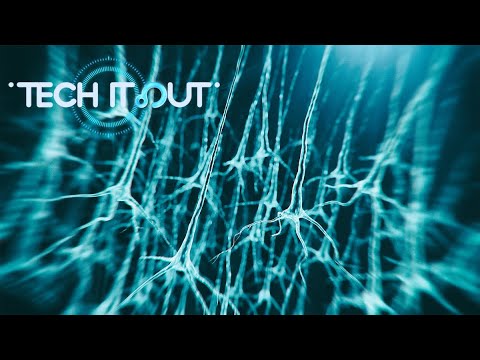 Tech It Out: Microscopy expansion helps 'blow up' tiny brain tissue