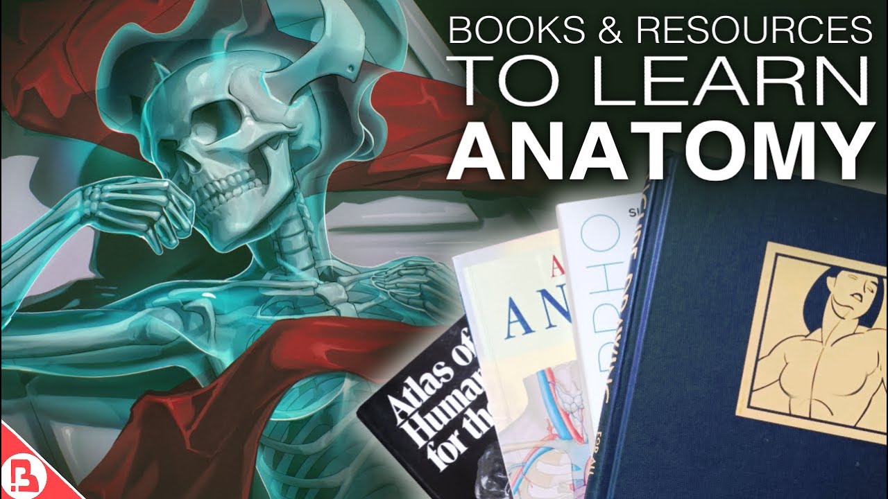 Anatomy For Artists - Books & Online Resources for Learning and Reference + Painting Skelby