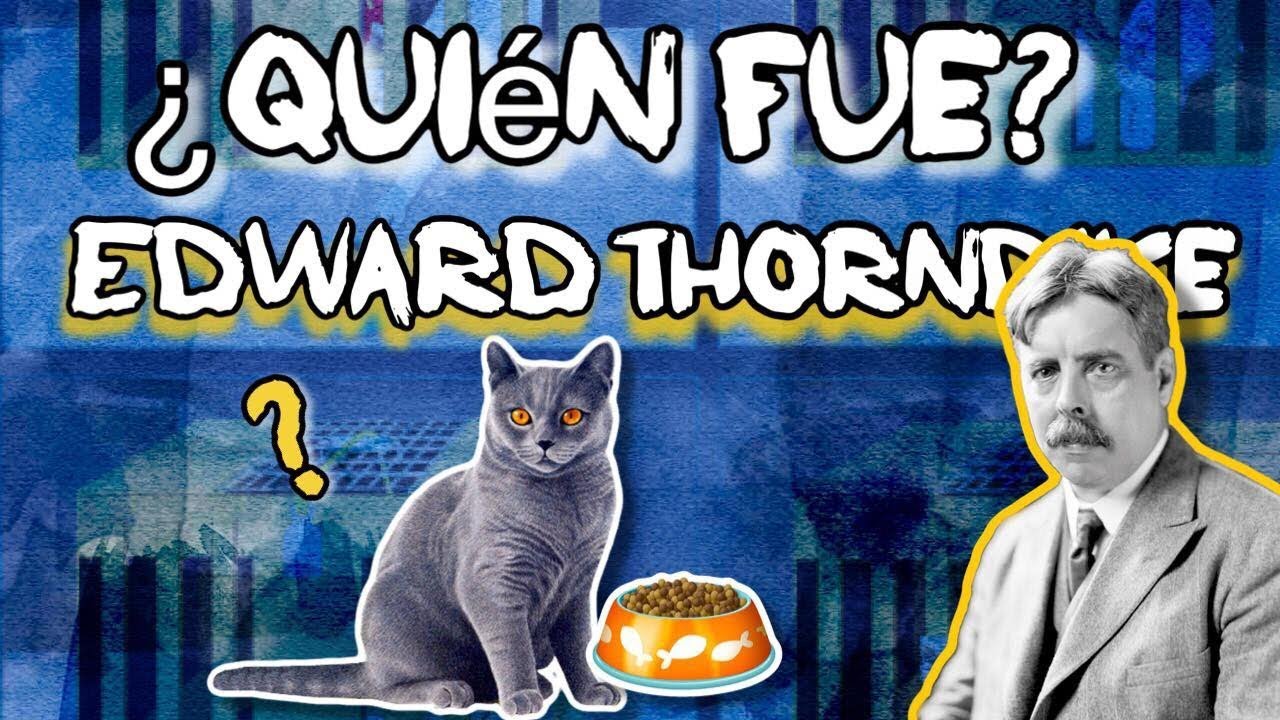 ¿Cuál es un ejemplo de la ley del efecto de Thorndike? – ACUT.NET