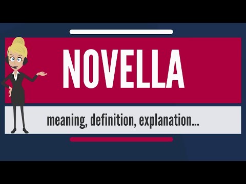 What is a novella? The Cynical Writer (Episode 19)