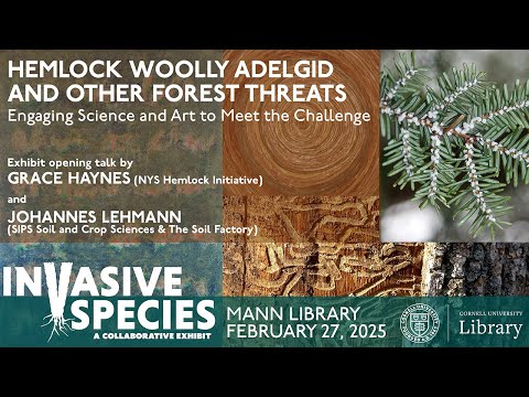 Haynes & Lehmann, HWA, Science and Art