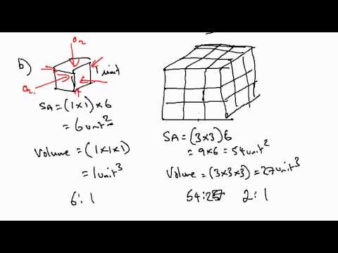 Surface Area to Volume Ratio in Cells | Biochemistry