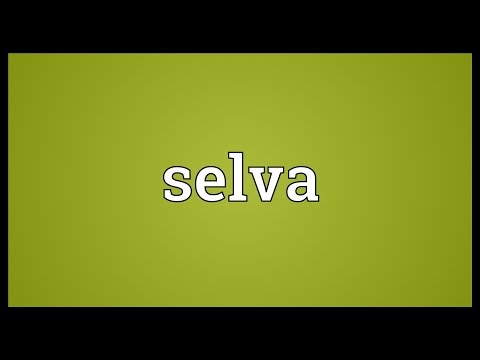Selva Meaning