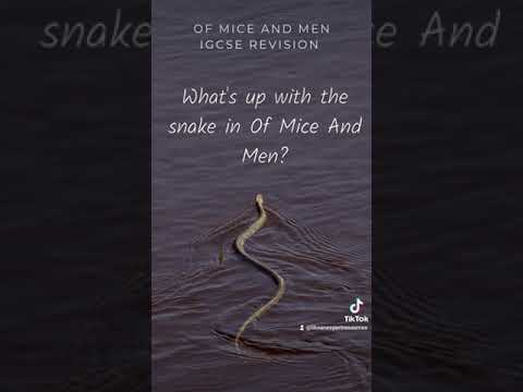What's up with the snake in Of Mice And Men?