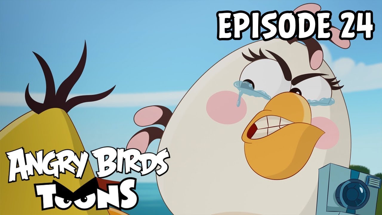 Angry Birds Toons | Photochucked - S3 Ep24