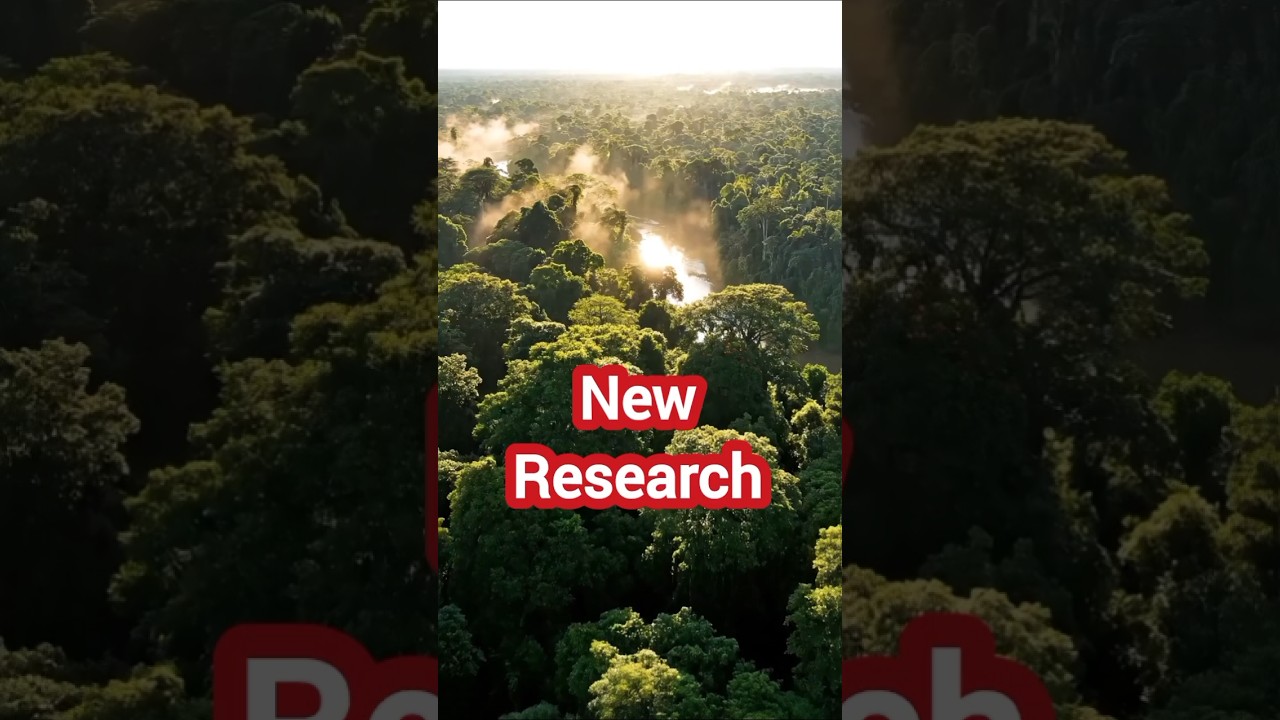 Amazon May Be Closer to Collapse Than We Thought 😳 | New Research | 2026