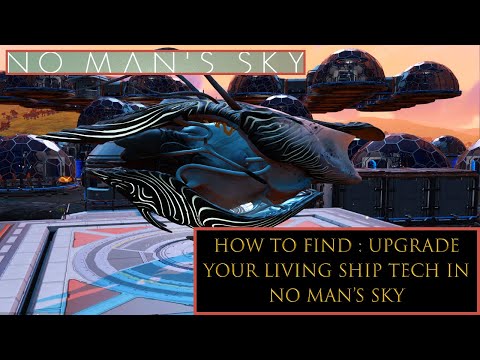How To Get Upgrades For The Living Ship in No Man's Sky