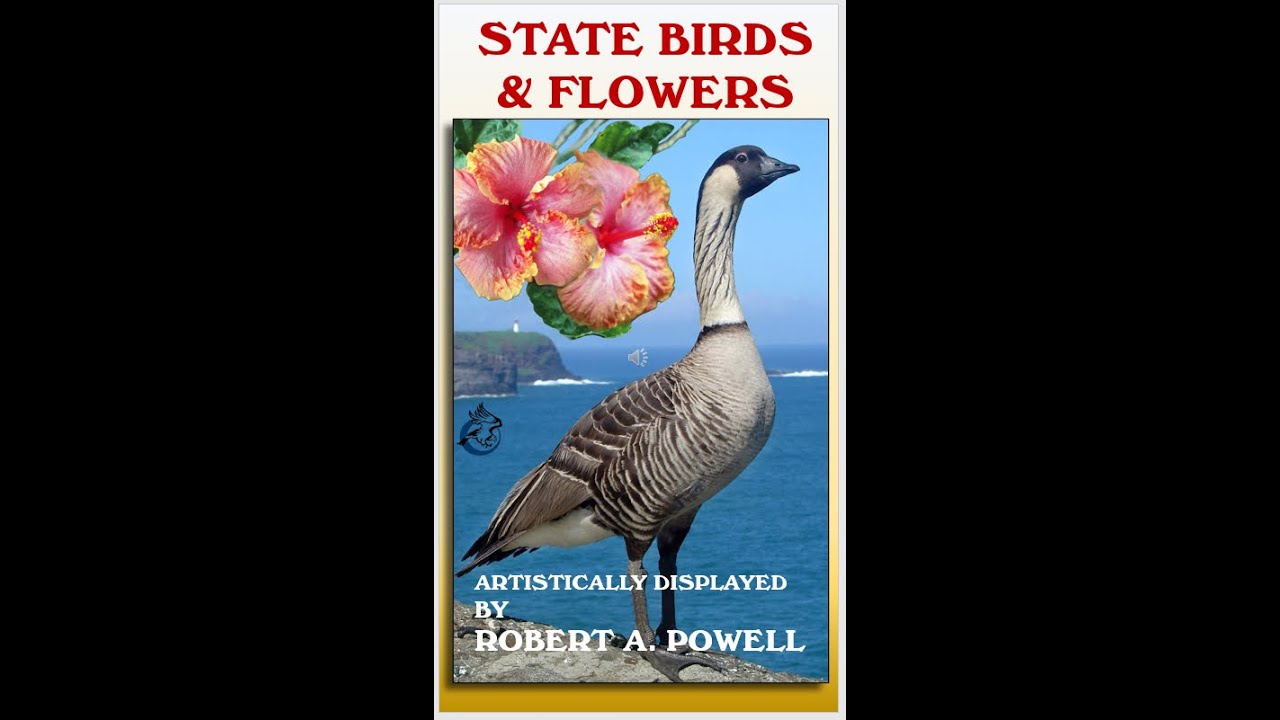 State Birds & Flowers