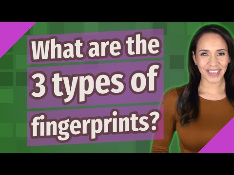 What are the 3 types of fingerprints?