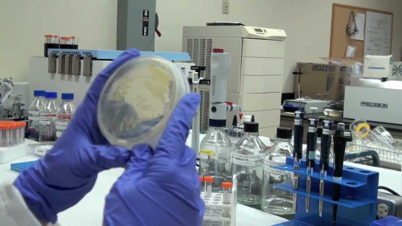 Biologist & Chemist - Career Spotlight
