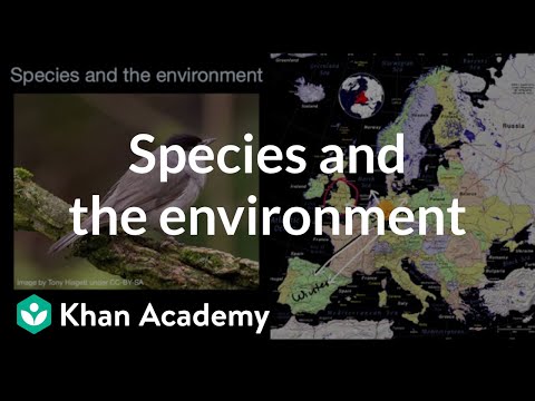 Species and the environment (video) | Khan Academy