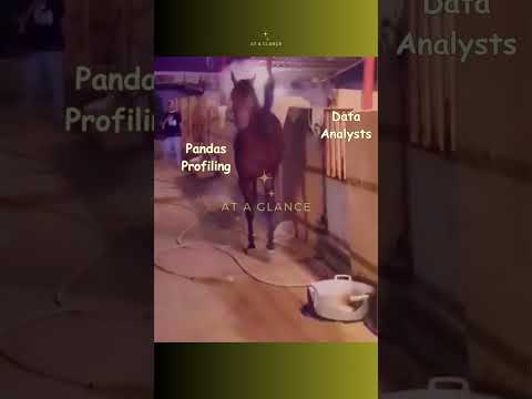 Pandas Profiling to Data Analysts | At A Glance! | Funny Technical Memes | #memes #techmeme