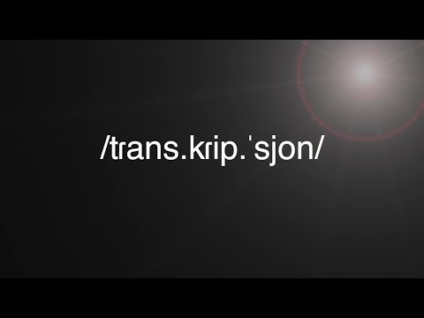 Convert Spanish text to phonetic transcription (IPA)