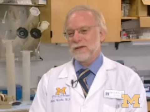The Number of Breast Cancer Stem Cells is Important