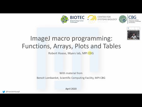 Getting started with ImageJ1 macros - Image Analysis - Image.sc Forum