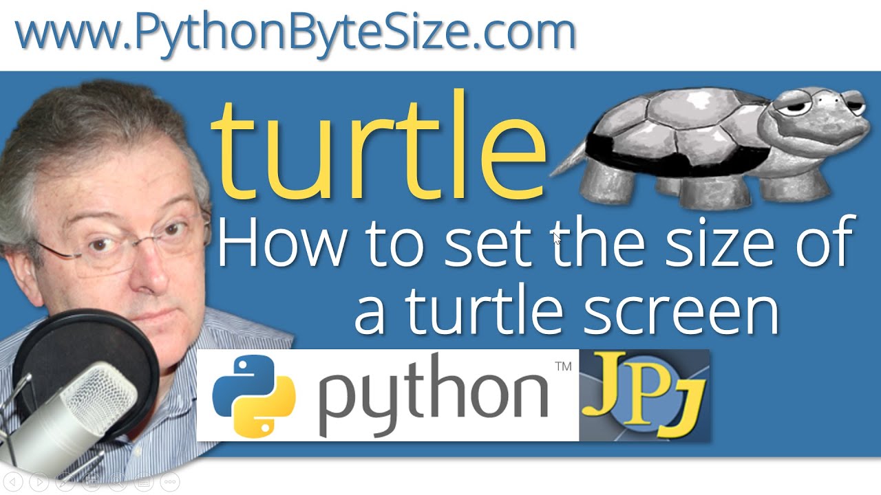 How to set the size of a Python turtle screen