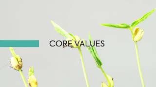 NCRI Reviews | View Portfolios | DesignRush