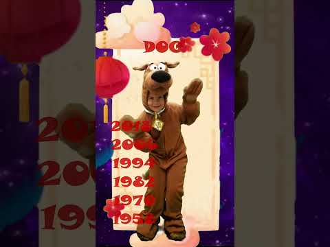 WHAT'S YOUR CHINESE ZODIAC ANIMAL OF THE YEAR 12 ANIMAL SIGNS OF CHINESE ZODIAC #shorts Leo & Lory