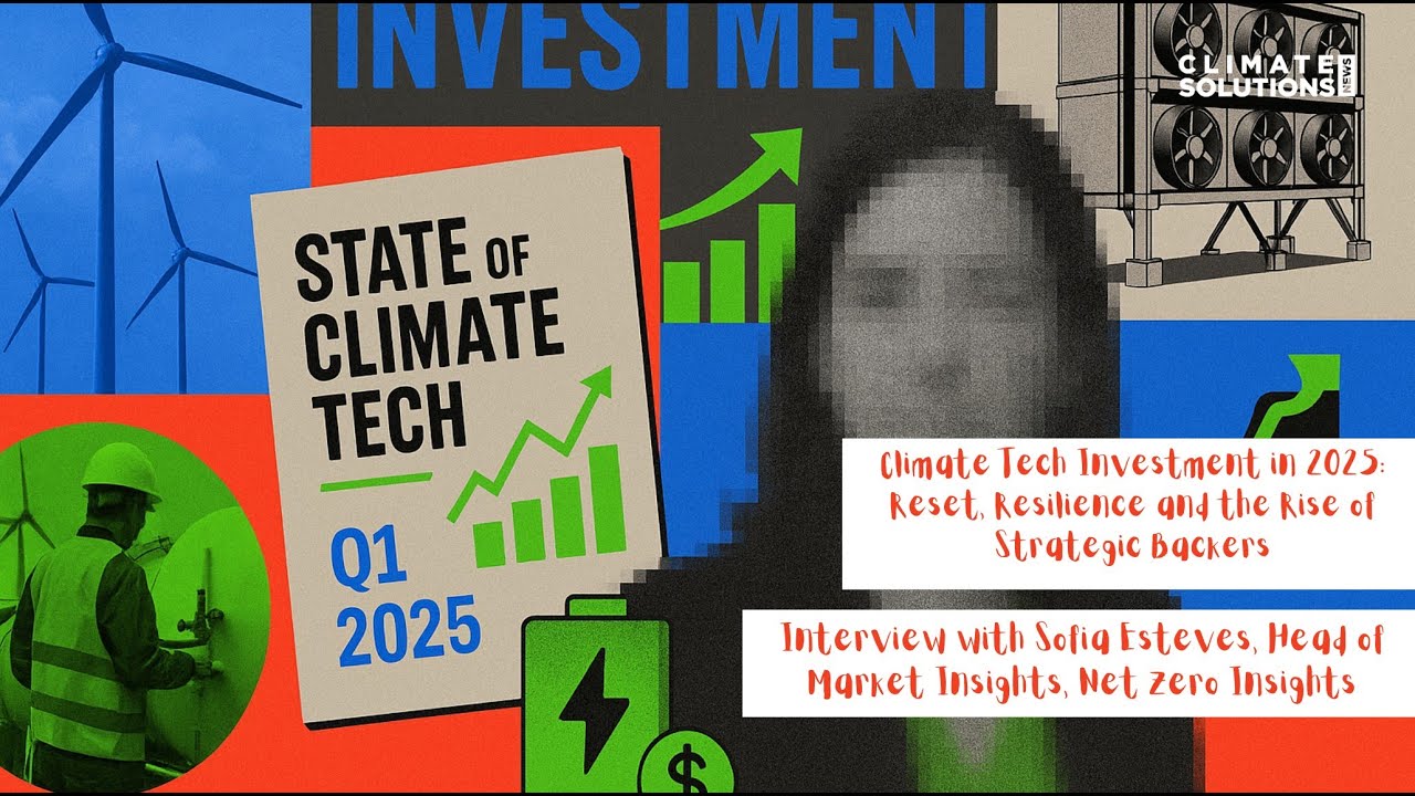 Is Climate Tech Investment in Crisis or Just Evolving? | Sofia Esteves, Net Zero Insights