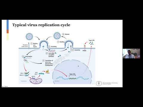 HOPP Summer Research Seminar Series: Viruses and Cancer w/ Dmitriy Zamarin, MD, PhD