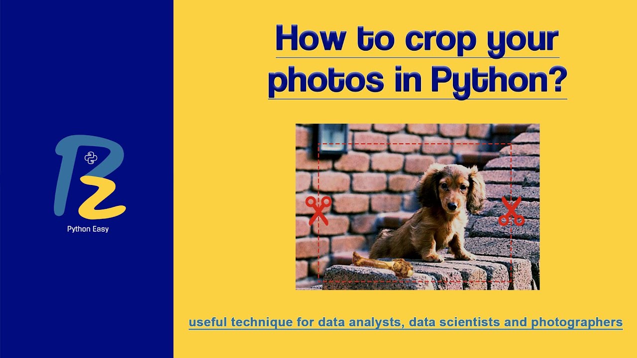 How to crop an image using Python?