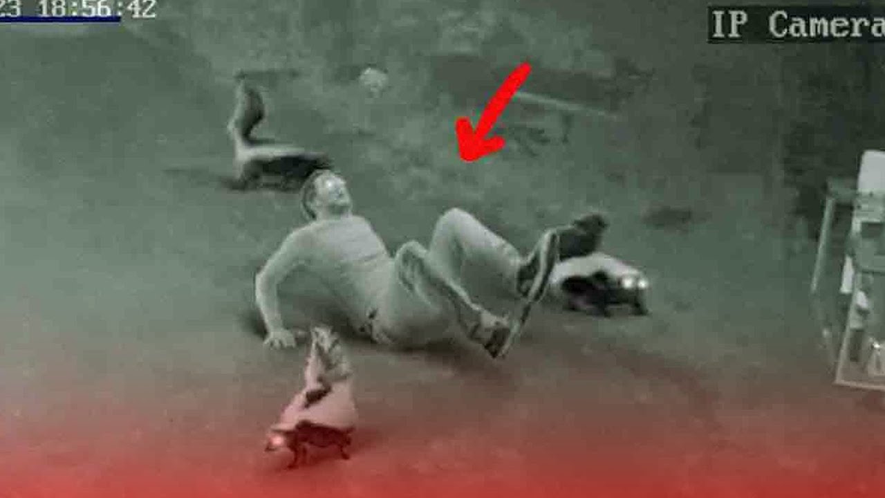 Love Stinks: Philly Skunks are Feelin Frisky in February