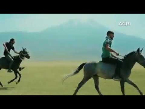Mount Ararat trekking activity
