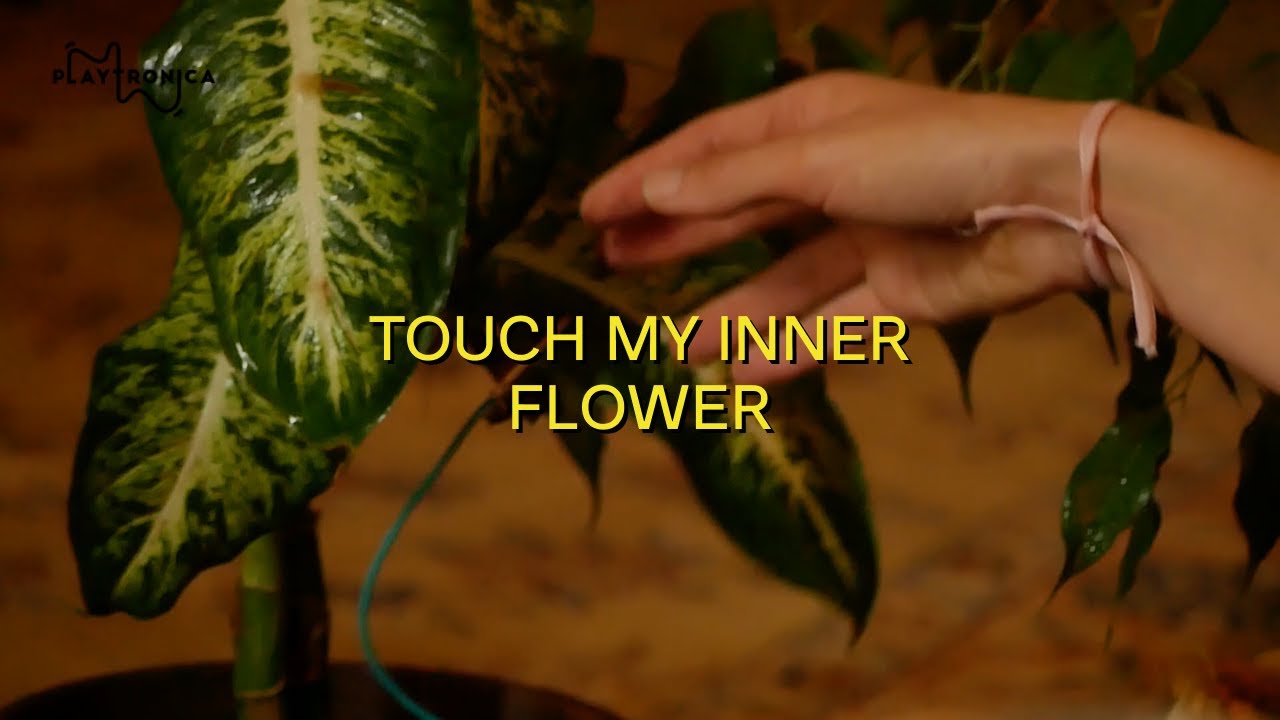 Touch My Inner Flower (Trailer) by WERT & reso kollektiv