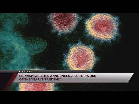 Merriam-Webster's top word of 2020 is no surprise