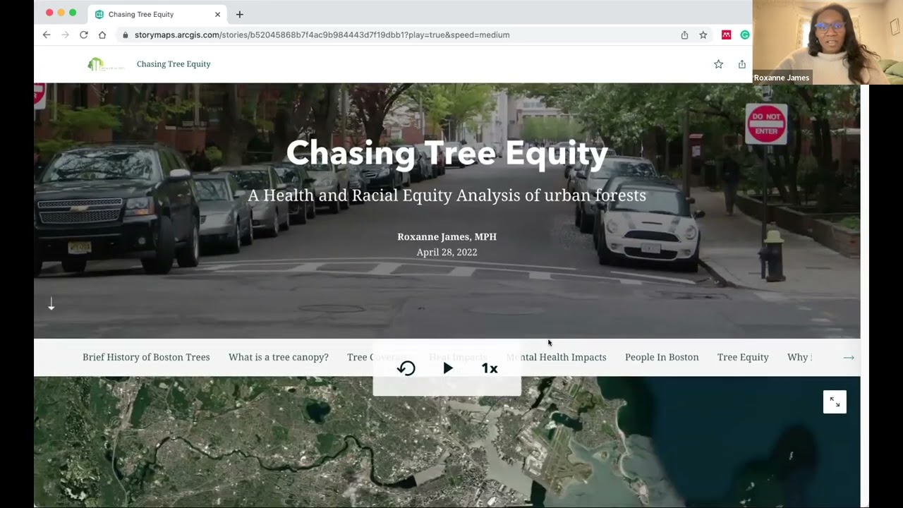 Rethinking How We Display Tree Equity and Urban Tree Cover