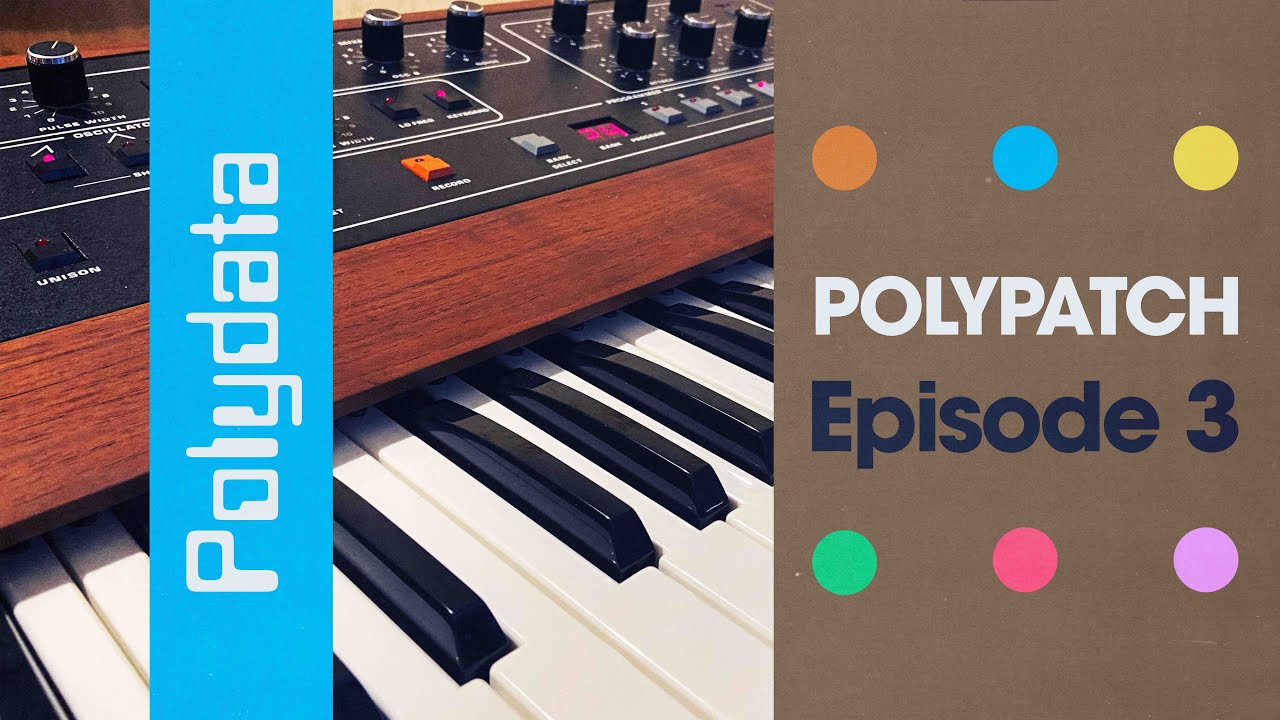 POLYPATCH with POLYDATA - Episode 3
