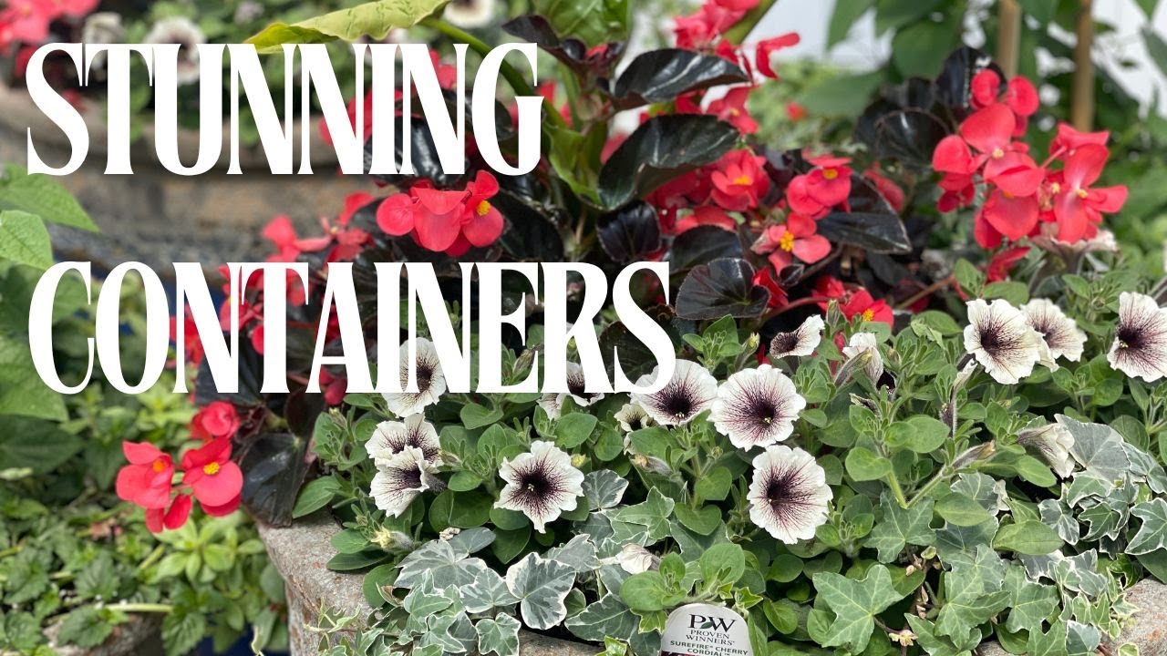 Proven Winner Annual Trial Bed AquaPot Containers