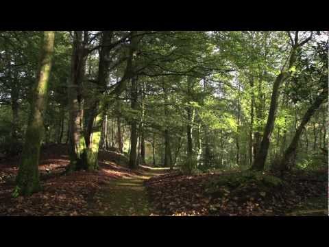 Inverlochy Castle Hotel by Relaix & Chateaux