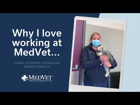 Why I Love Working at MedVet - Karen