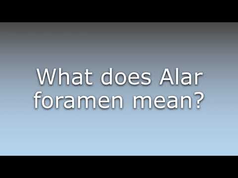 What does Alar foramen mean?