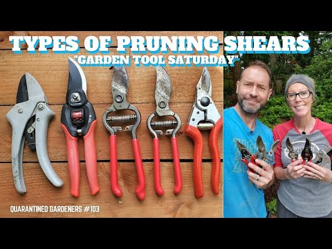 🛠 Garden Tool Saturday: Pruning Shears - QG Day 103 🛠